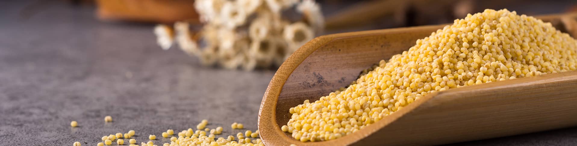 Amazon.in: ECO JIVAN: Health Mixes