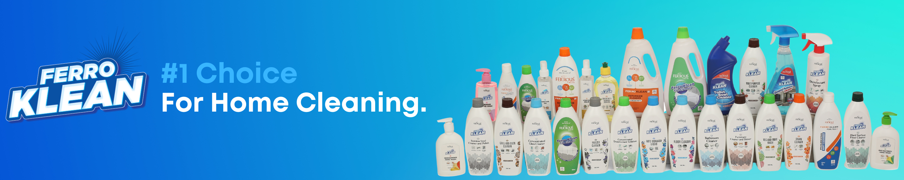 Amazon.in: FERROKLEAN