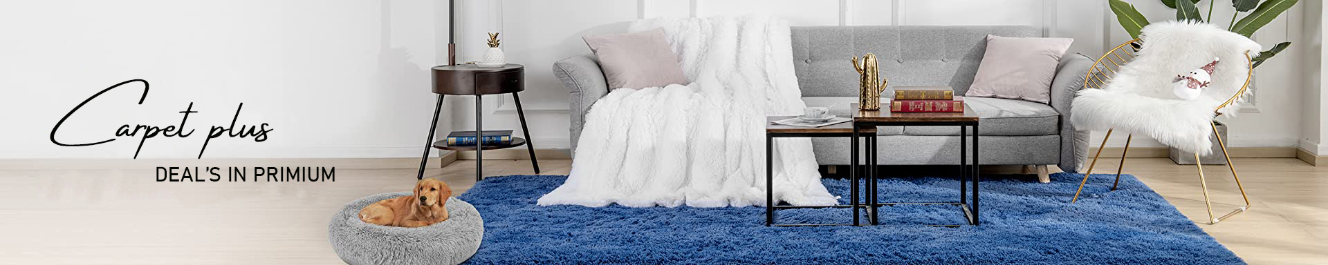 Amazon.in: Carpet Plus