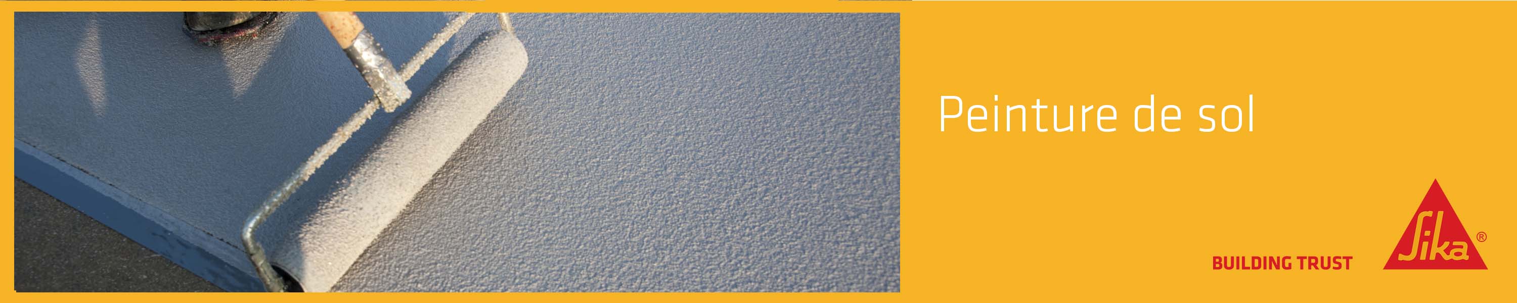 Amazon.fr: SIKA FRANCE S.A.S: Peinture pour sol