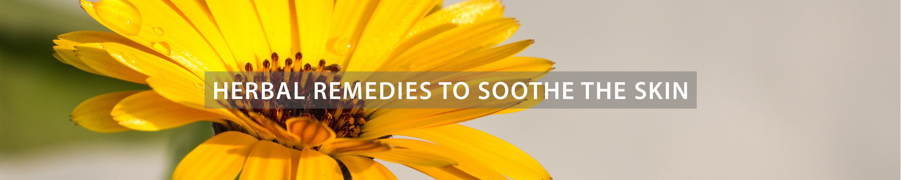 Amazon.co.uk: Lulu & Boo Organics: Herbal Remedies