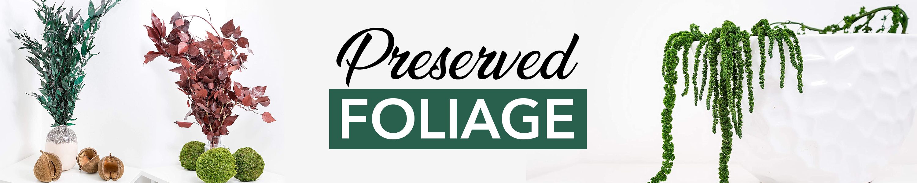 Amazon.co.uk: company interiors: Preserved Foilage