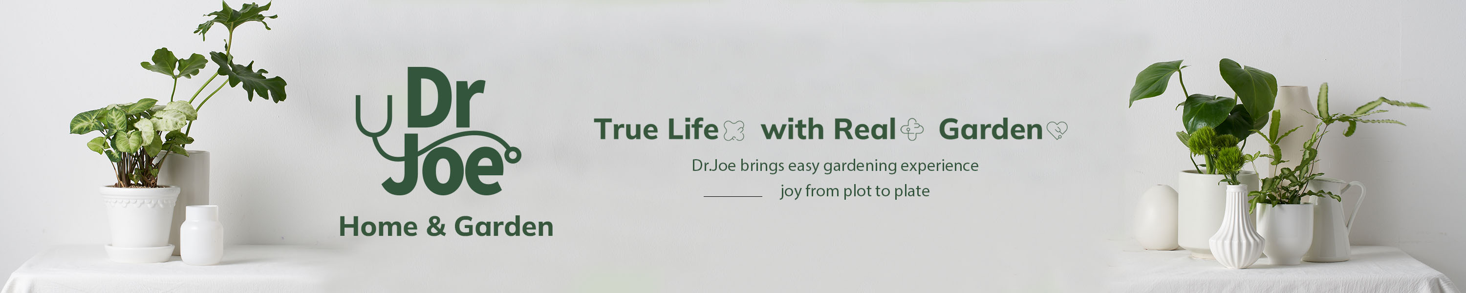 Amazon.co.uk: Dr. Joe Plant Food