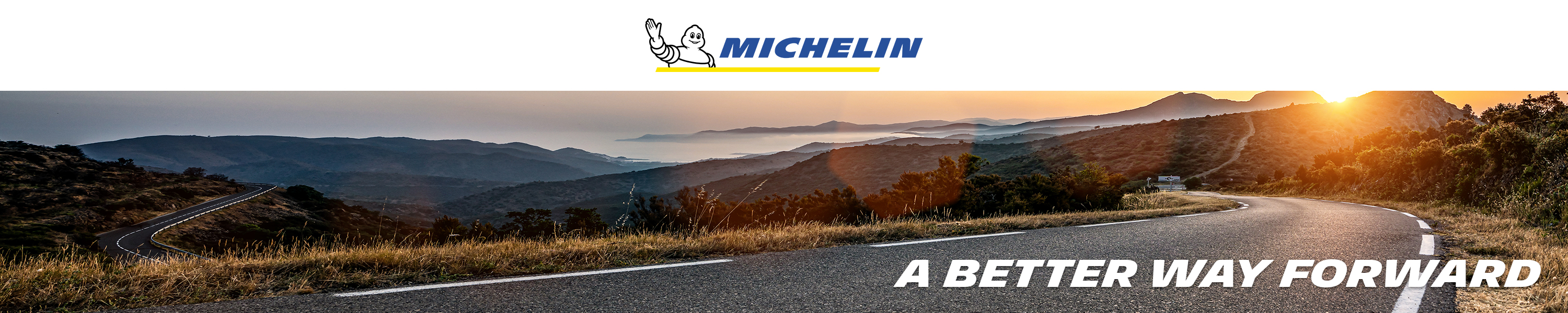 Amazon.co.uk: Michelin: Toys & Collectibles
