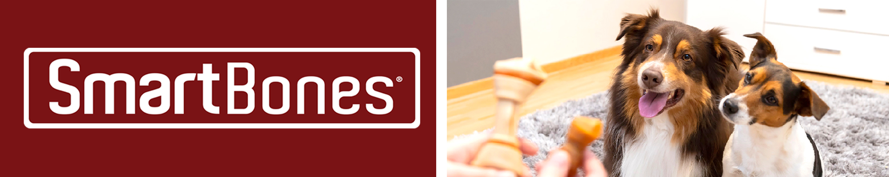 Amazon.co.uk: Smartbones: Bones