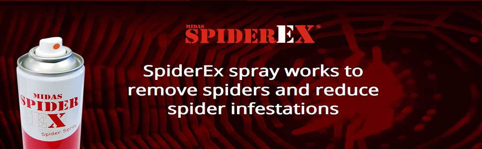 Amazon.co.uk: SpiderEx Spider Spray