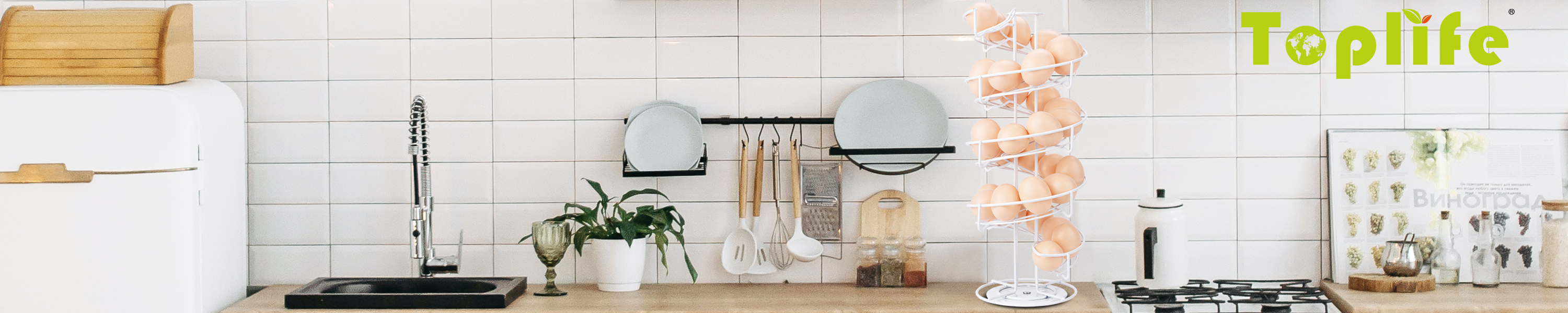 Amazon.de: Toplife: Dispensador de huevos