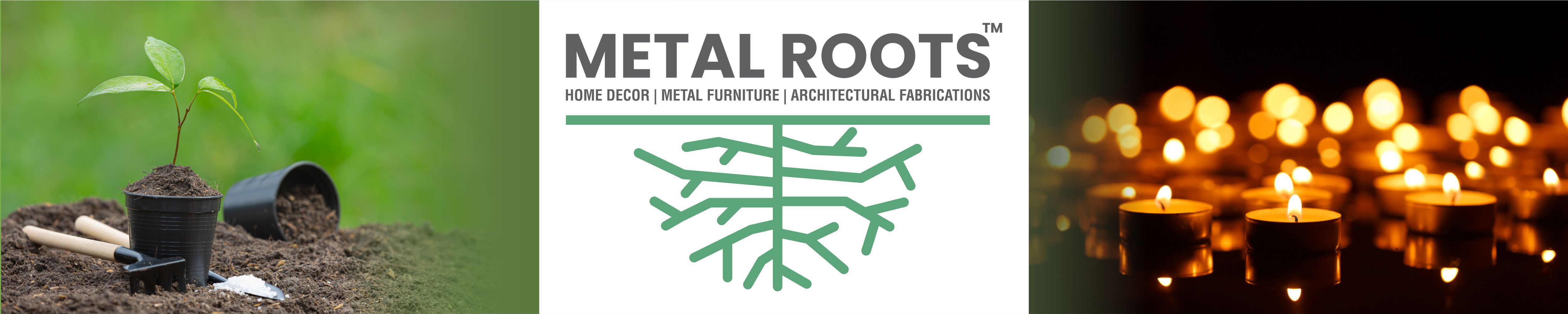Amazon.in: METAL ROOTS: Other