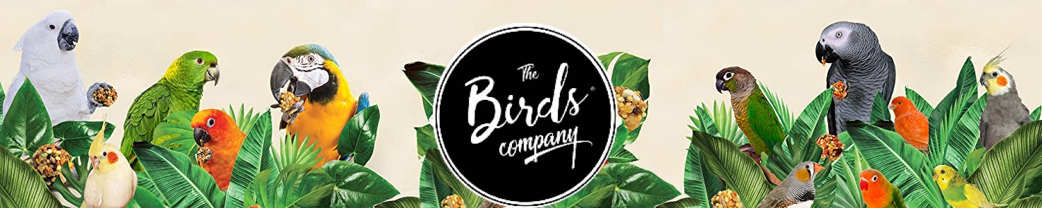Amazon.in: The Pets Company: Bird Food