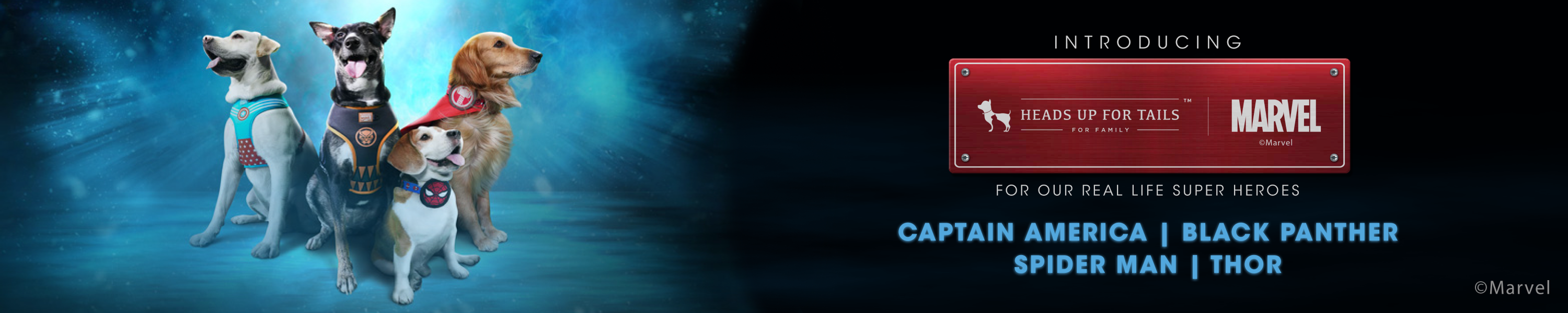 Amazon.in: Heads Up For Tails: Marvel Collection