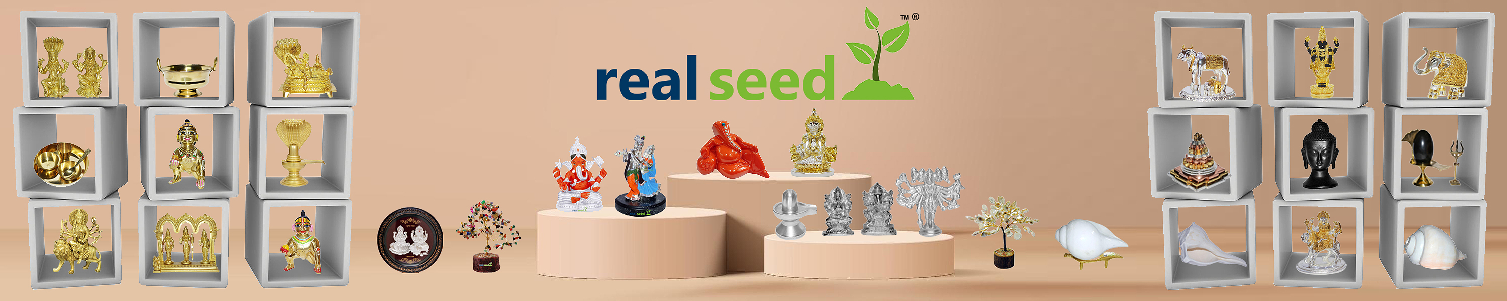 Amazon.in: REAL SEED: Feng shui