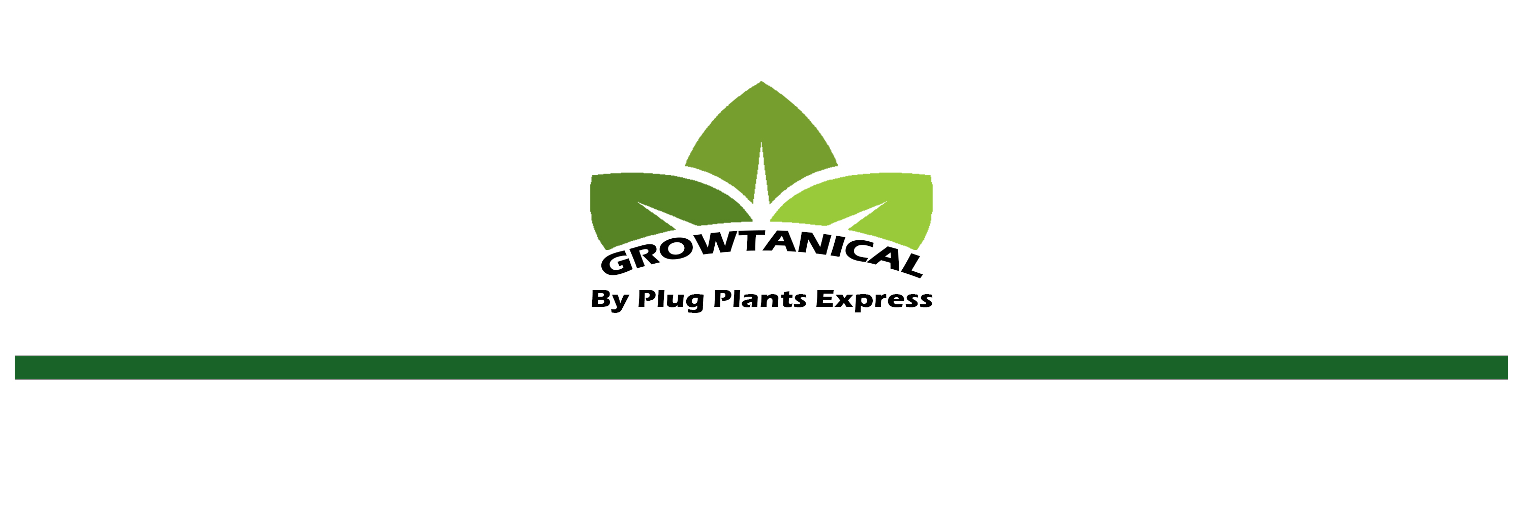 Amazon.co.uk: Growtanical by Plug Plants Express: Clematis