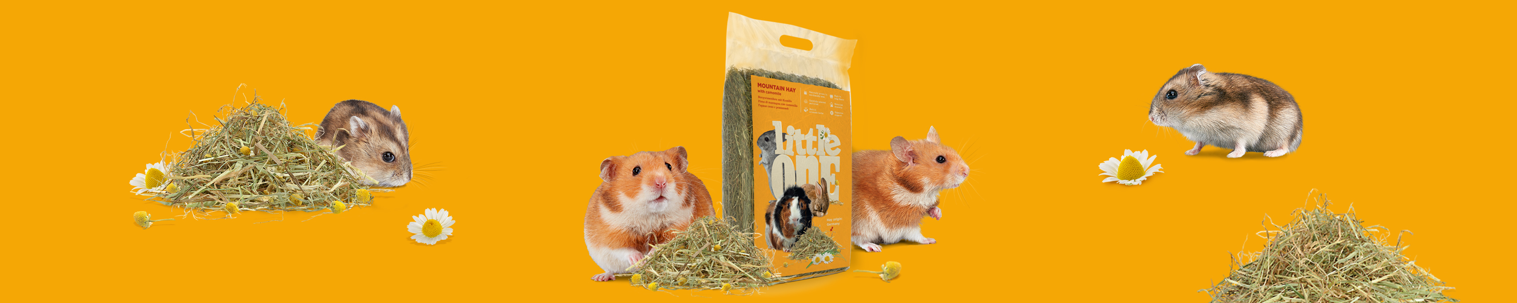 Amazon.co.uk: Little One: Hay for Hamsters