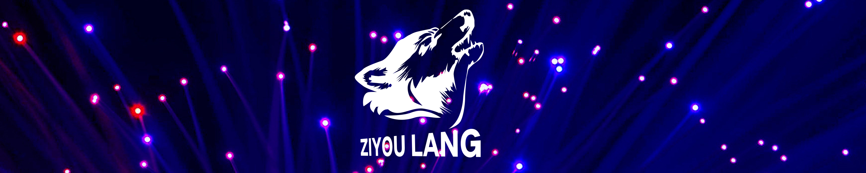 Amazon.co.uk: ZIYOU LANG: KEYBOARD