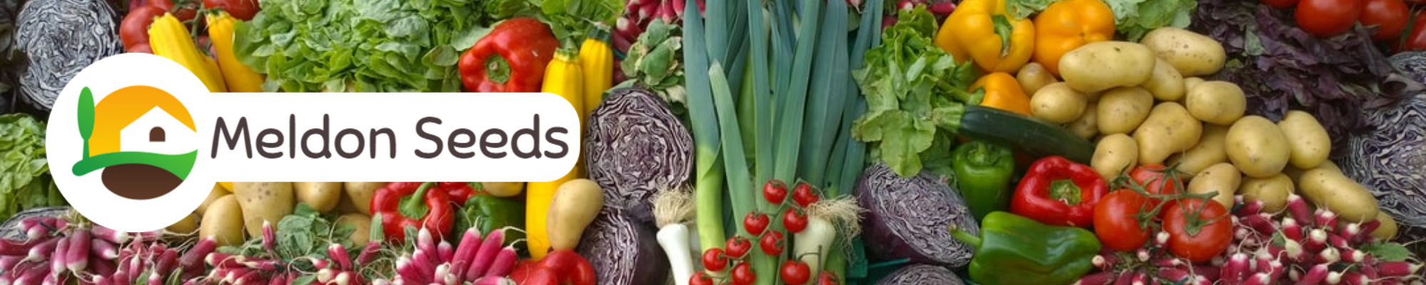 Amazon.co.uk: Meldon Seeds: Vegetable Seeds