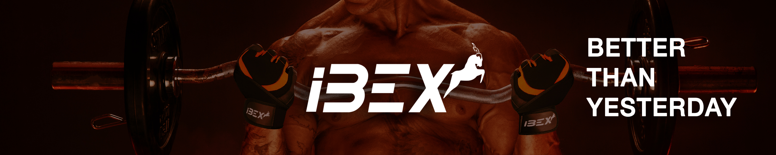 Amazon.co.uk: iBEX Sports: Barbell Pads