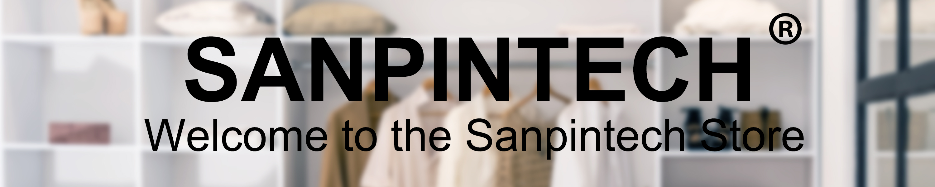 Amazon.co.uk: Sanpintech: Clothes Steamer