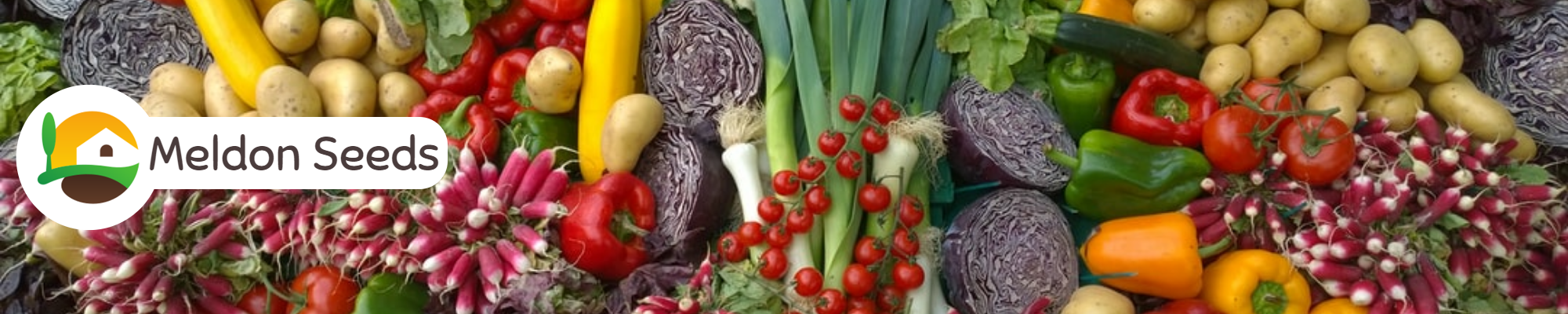 Amazon.co.uk: Meldon Seeds