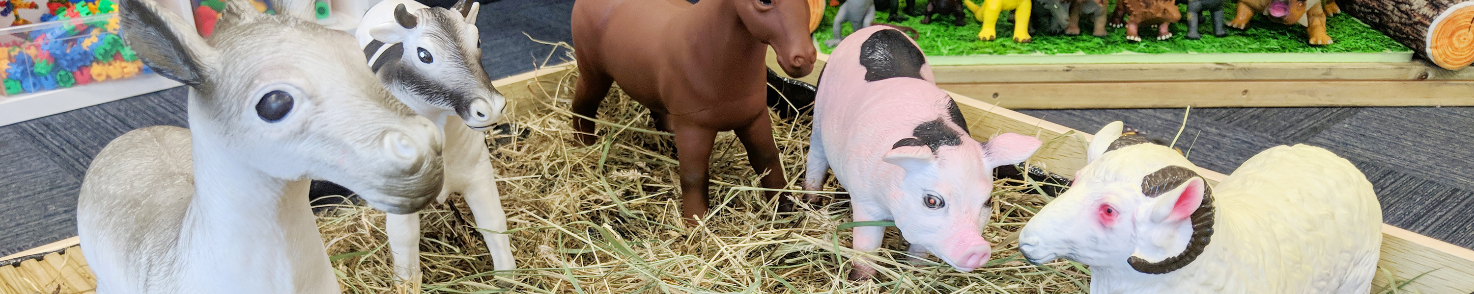 Amazon.co.uk: Talking Turtle: Farm Animals & Pets