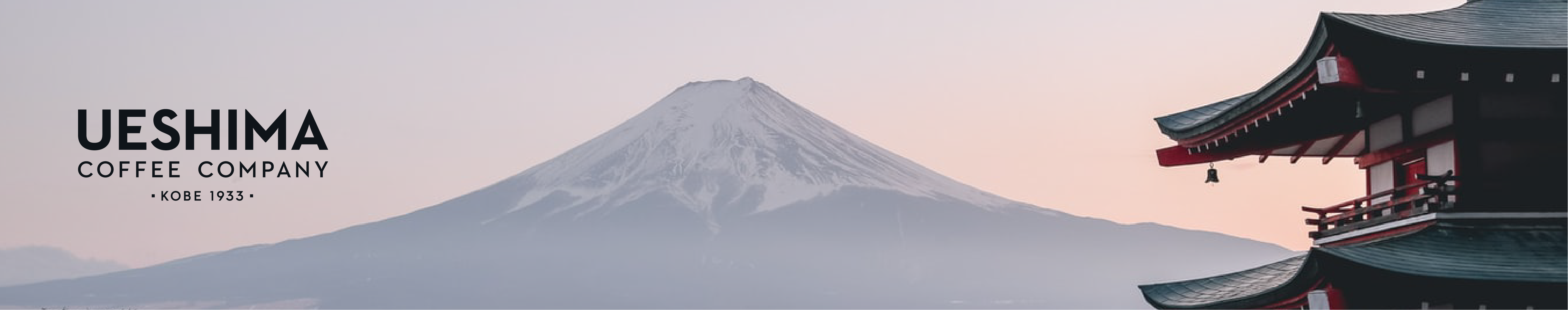 Amazon.co.uk: Ueshima Coffee Company