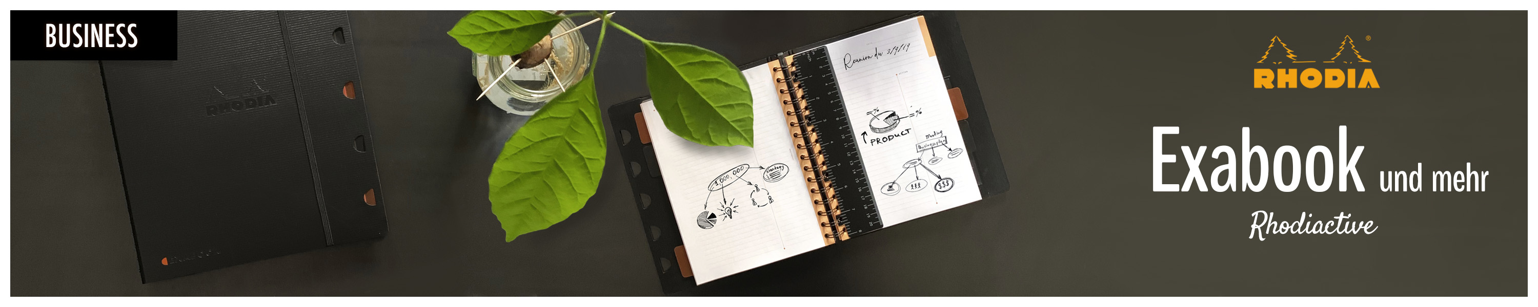 Amazon.de: Rhodia: Exabook & mehr