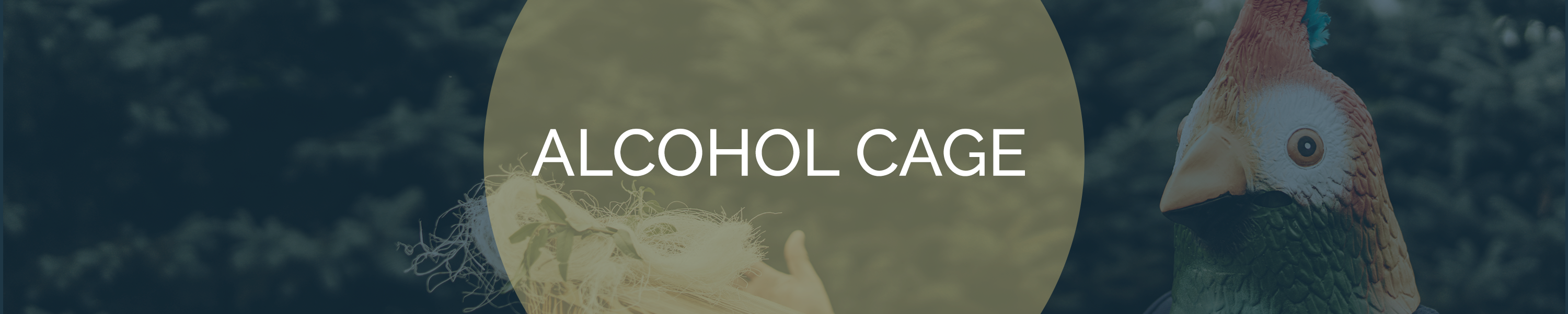 Amazon.de: Alcohol Cage