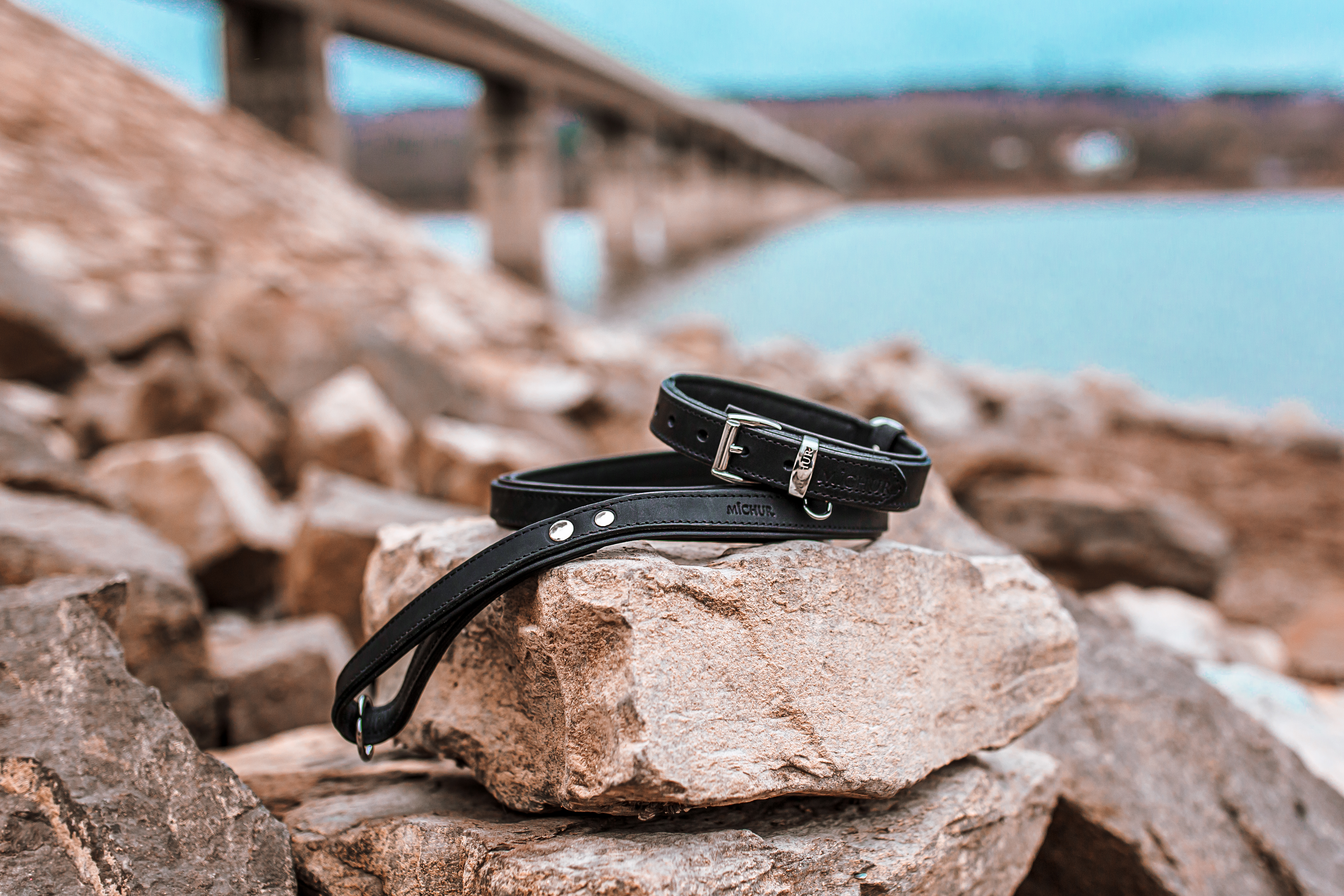 Amazon.fr: MICHUR – Unsere Welt der besten Haustiere: Hundehalsbänder