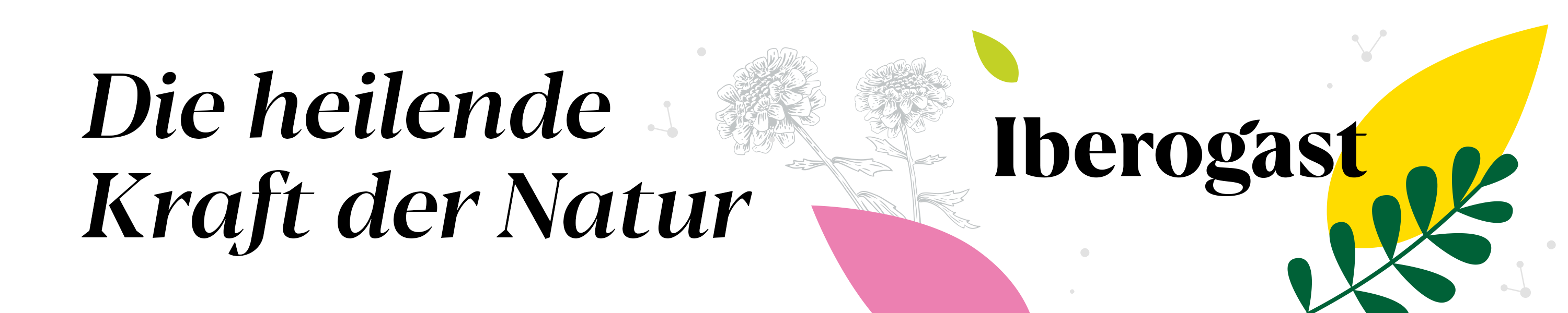 Amazon.de: Iberogast: IberoBiotics