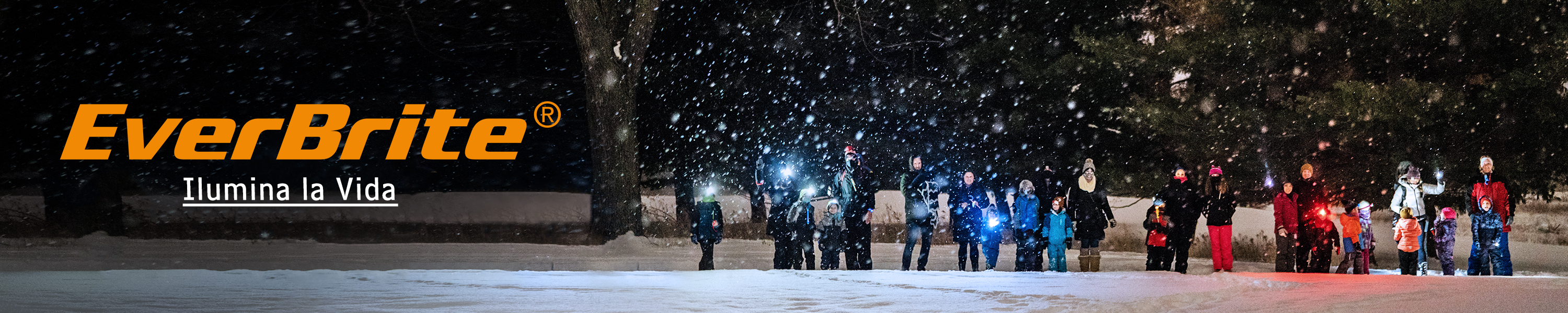 Amazon.es: EverBrite