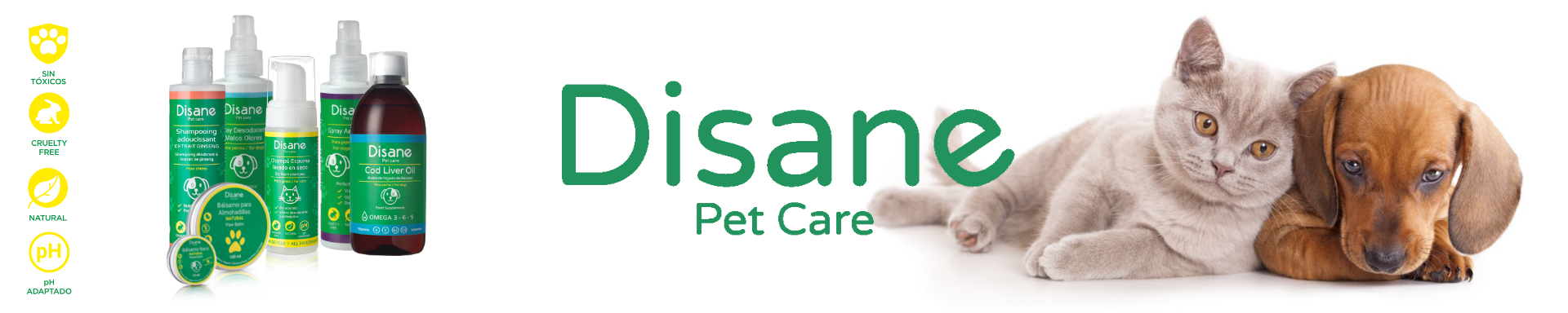 Amazon.es: DISANE