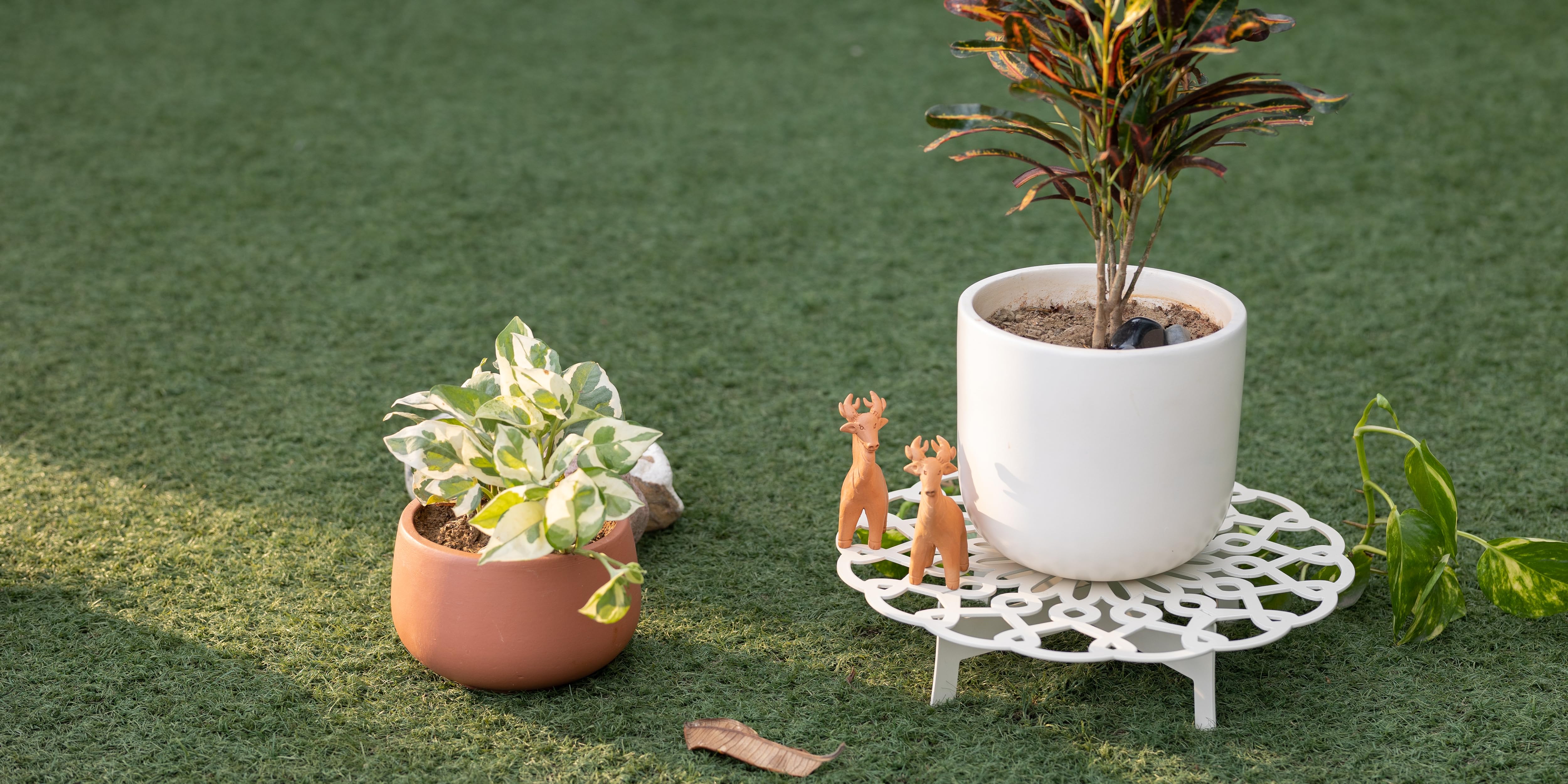 Amazon.in: Earthy Abode: Shop the Look