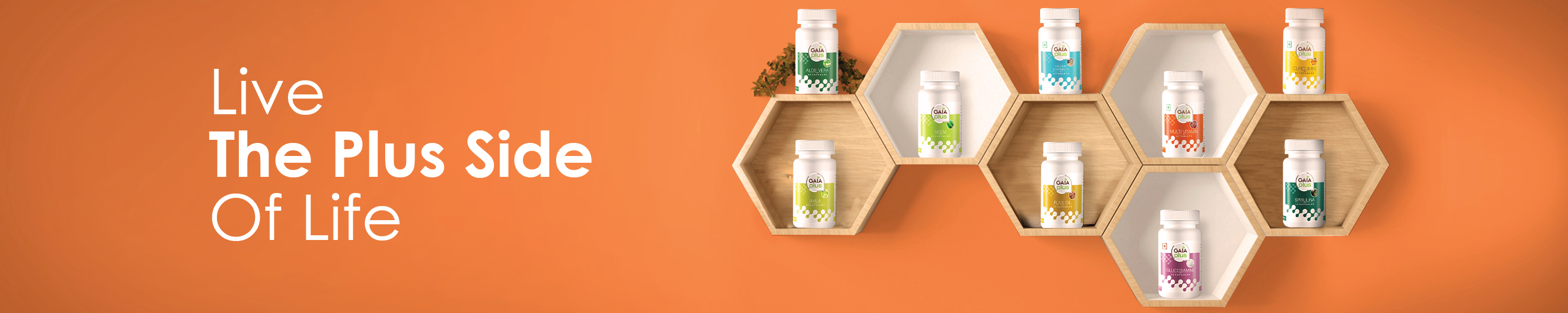 Amazon.in: GAIA: Health Capsules