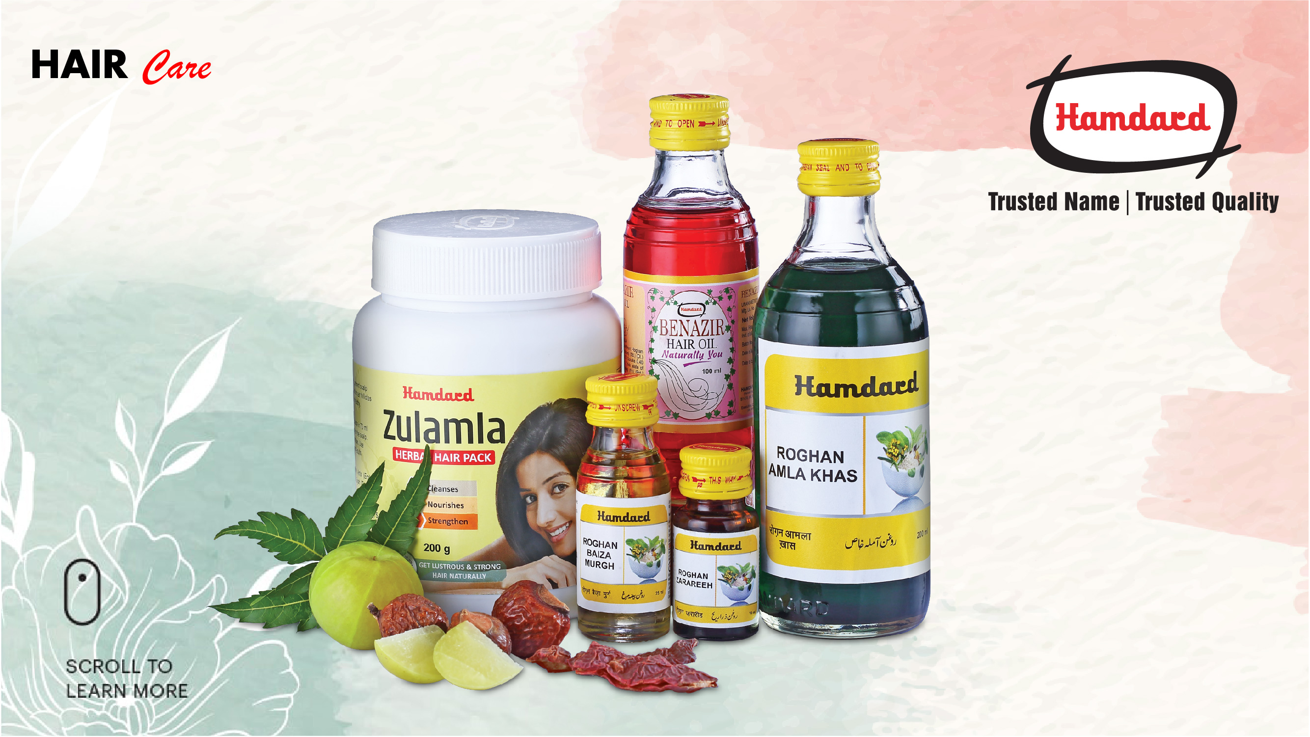 Amazon.in: Hamdard Laboratories India: HAIR CARE