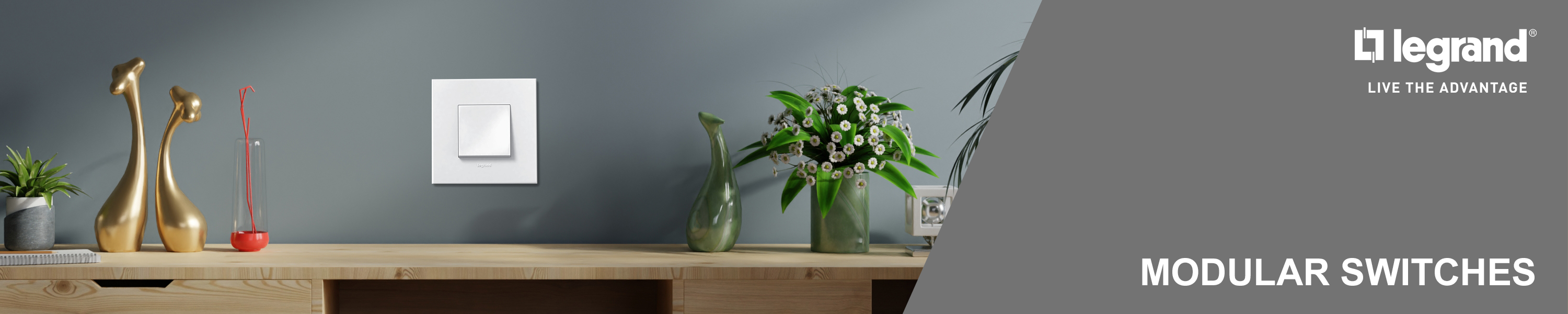 Amazon.in: Legrand: Modular Switches