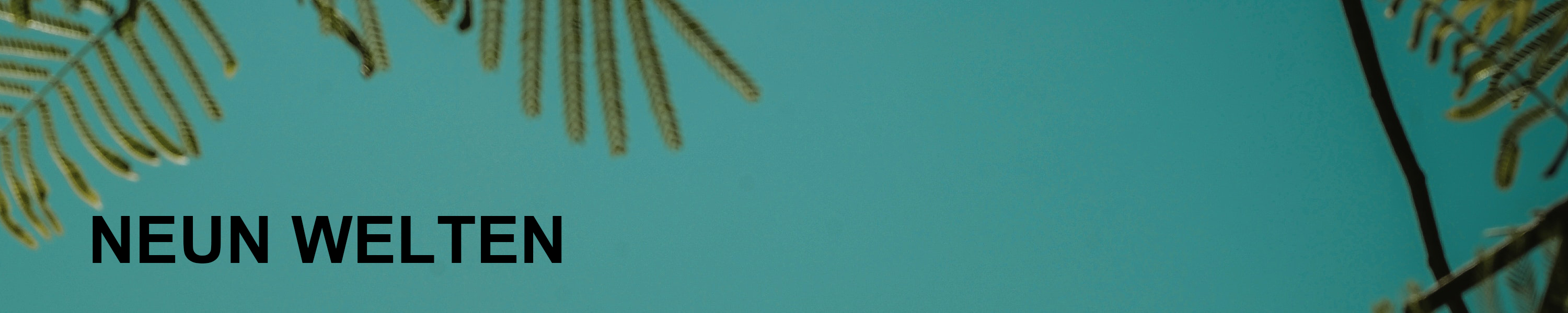 Amazon.fr: NEUN WELTEN