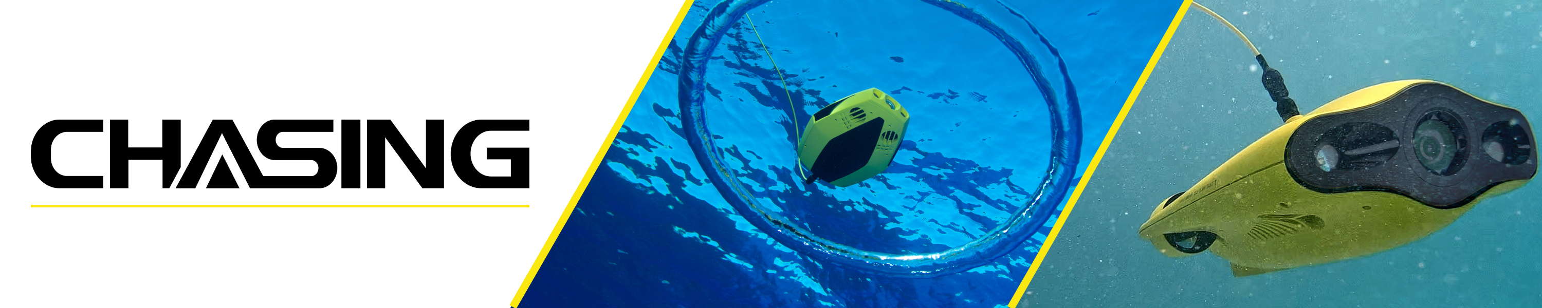 Amazon.co.uk: Chasing: Gladius Mini S