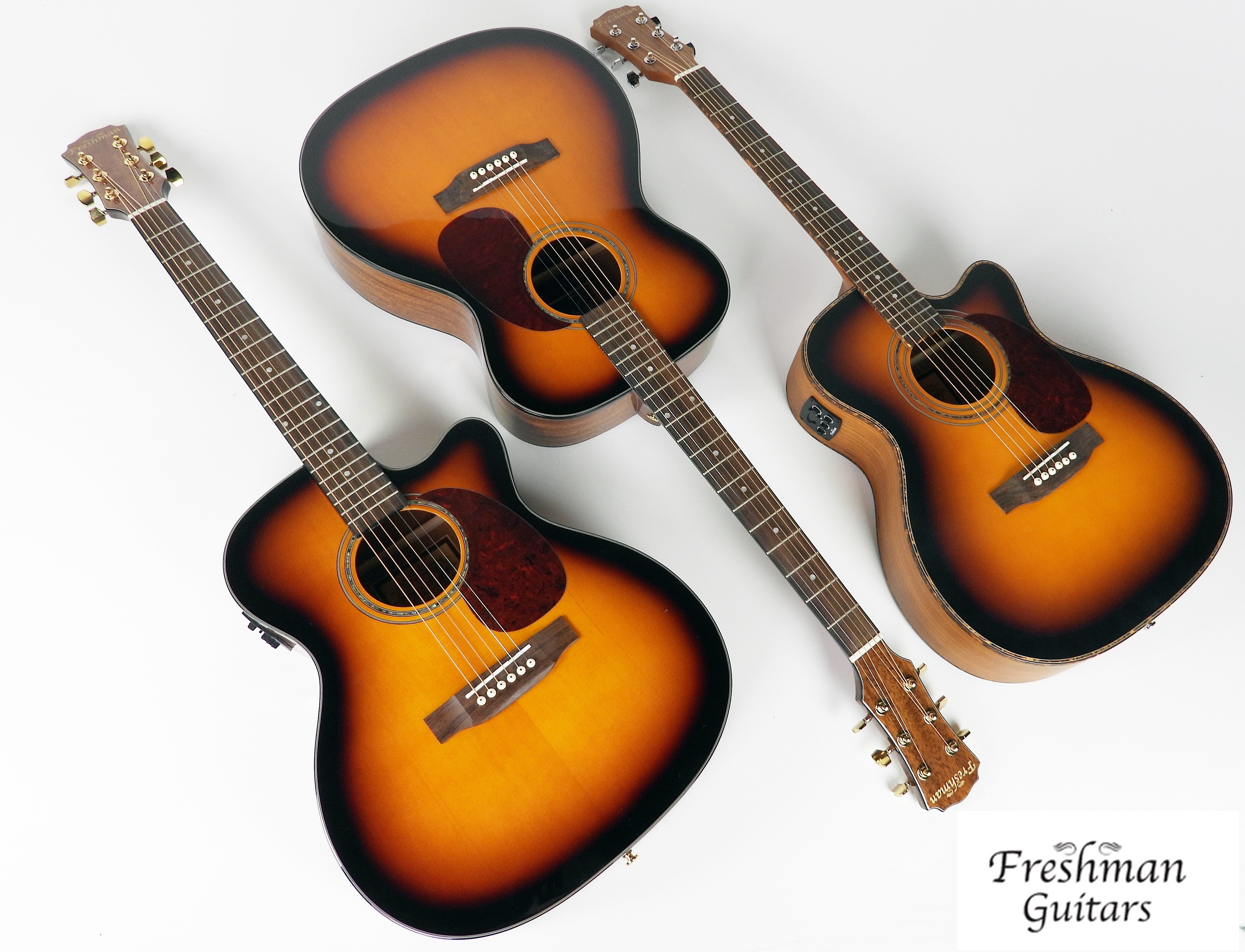 Amazon.co.uk: Freshman: Electro-Acoustic Guitars