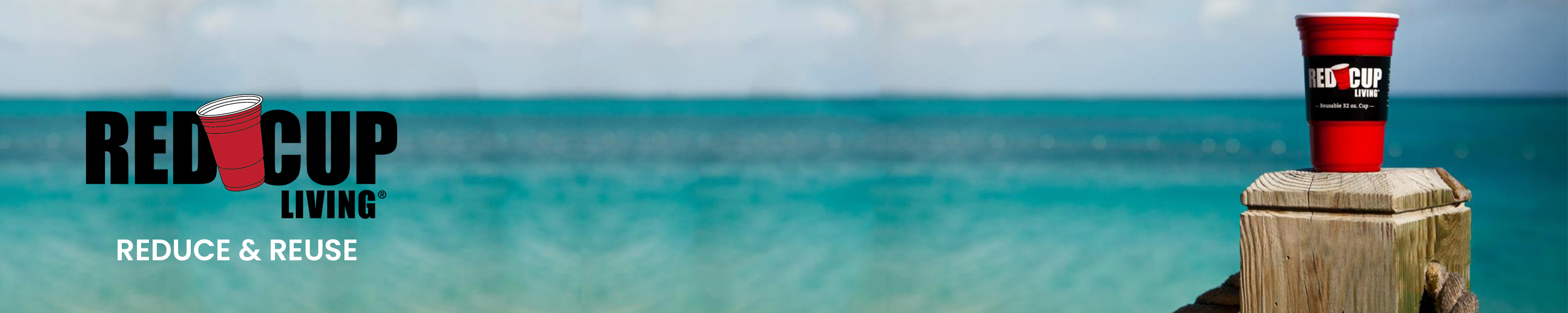 Amazon.co.uk: Red Cup Living