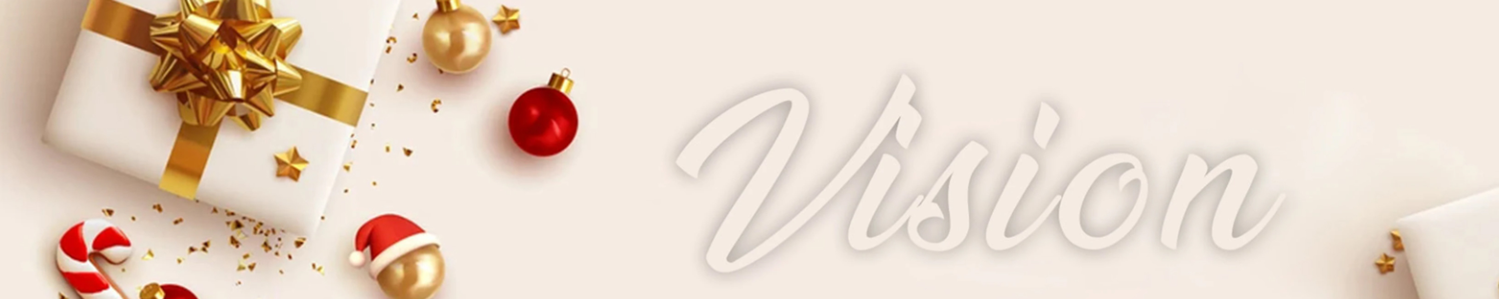 Amazon.de: ViSiON: Personalised Garment Bags