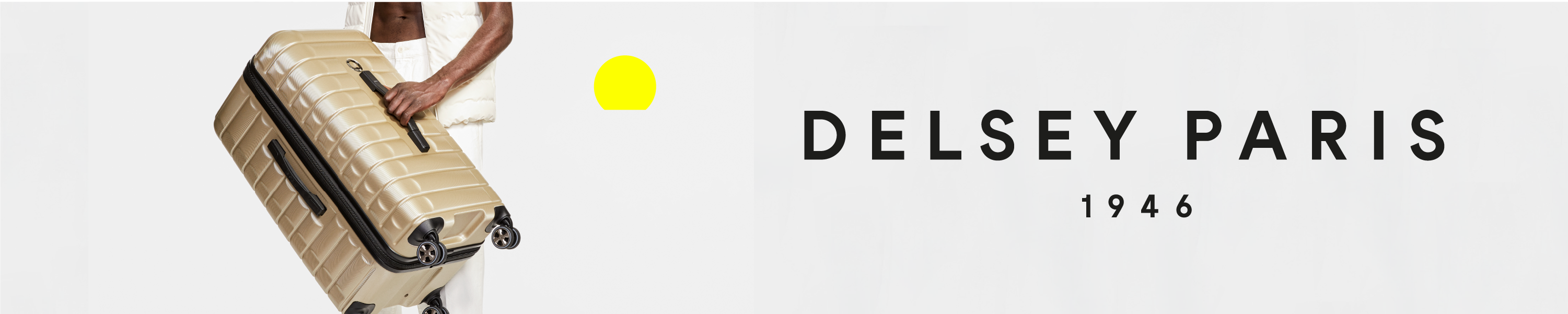 Amazon.co.uk: Delsey Paris: LARGE SUITCASE