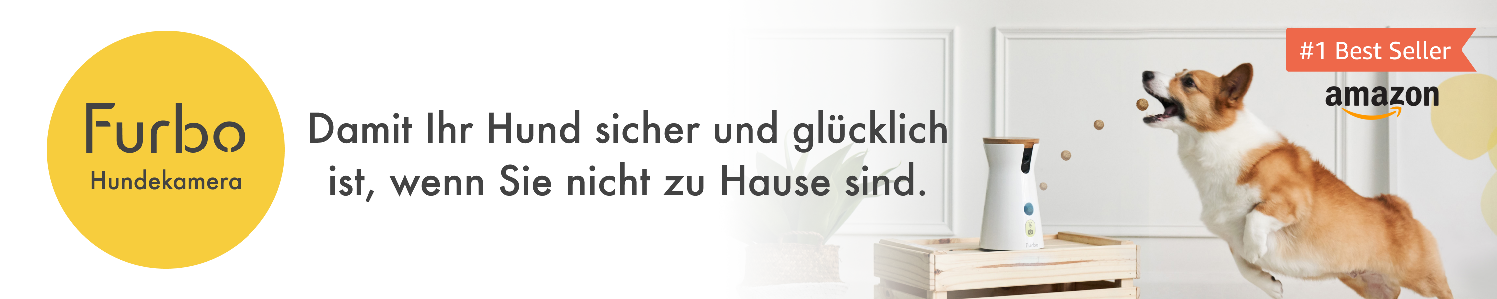 Amazon.de: Furbo: Furbo Dog Nanny