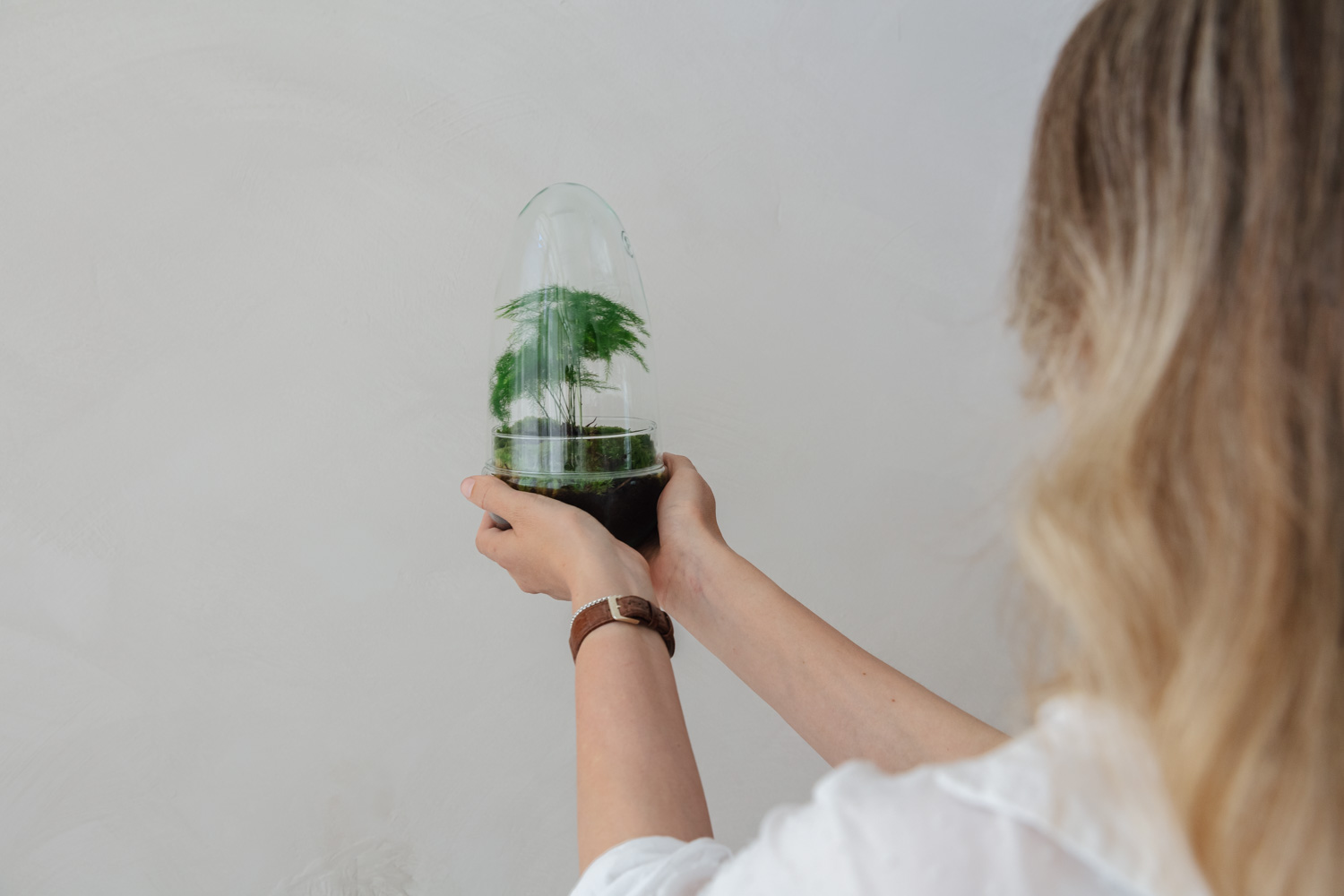 Amazon.de: GROWING CONCEPTS