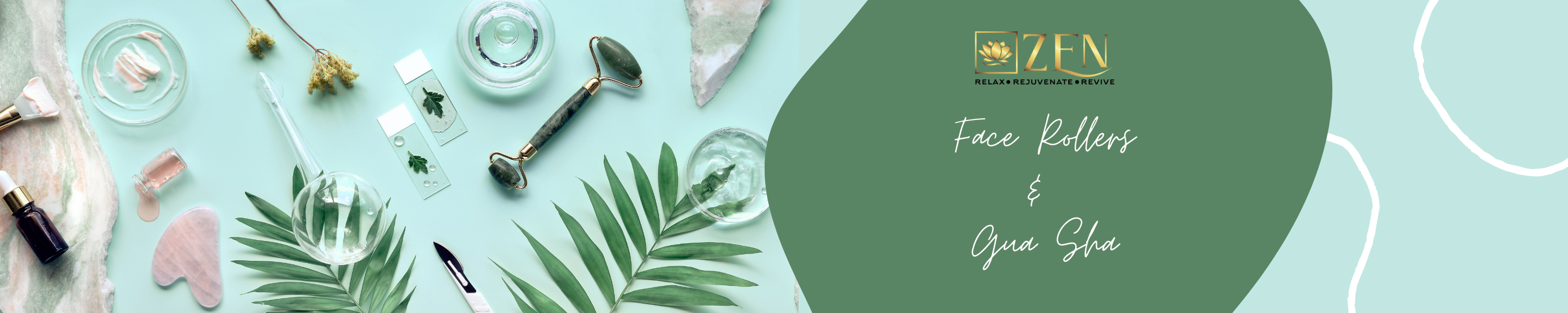 Amazon.in: ZEN: COMBO