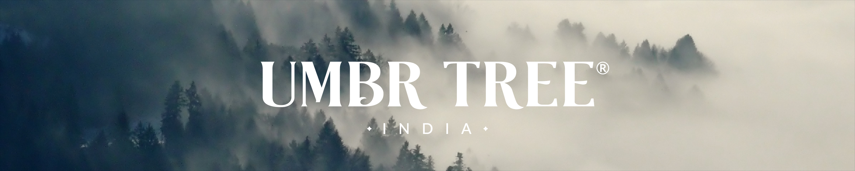 Amazon.in: Umbr Tree