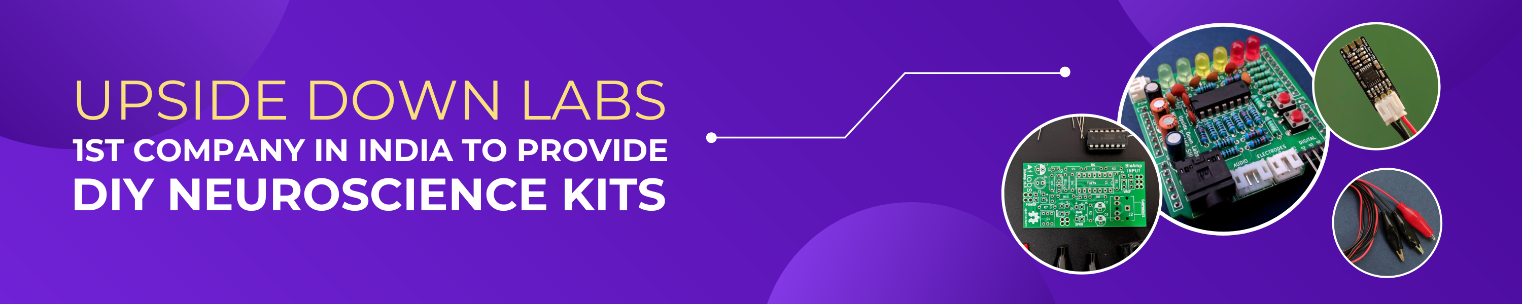 Amazon.in: Upside Down Labs