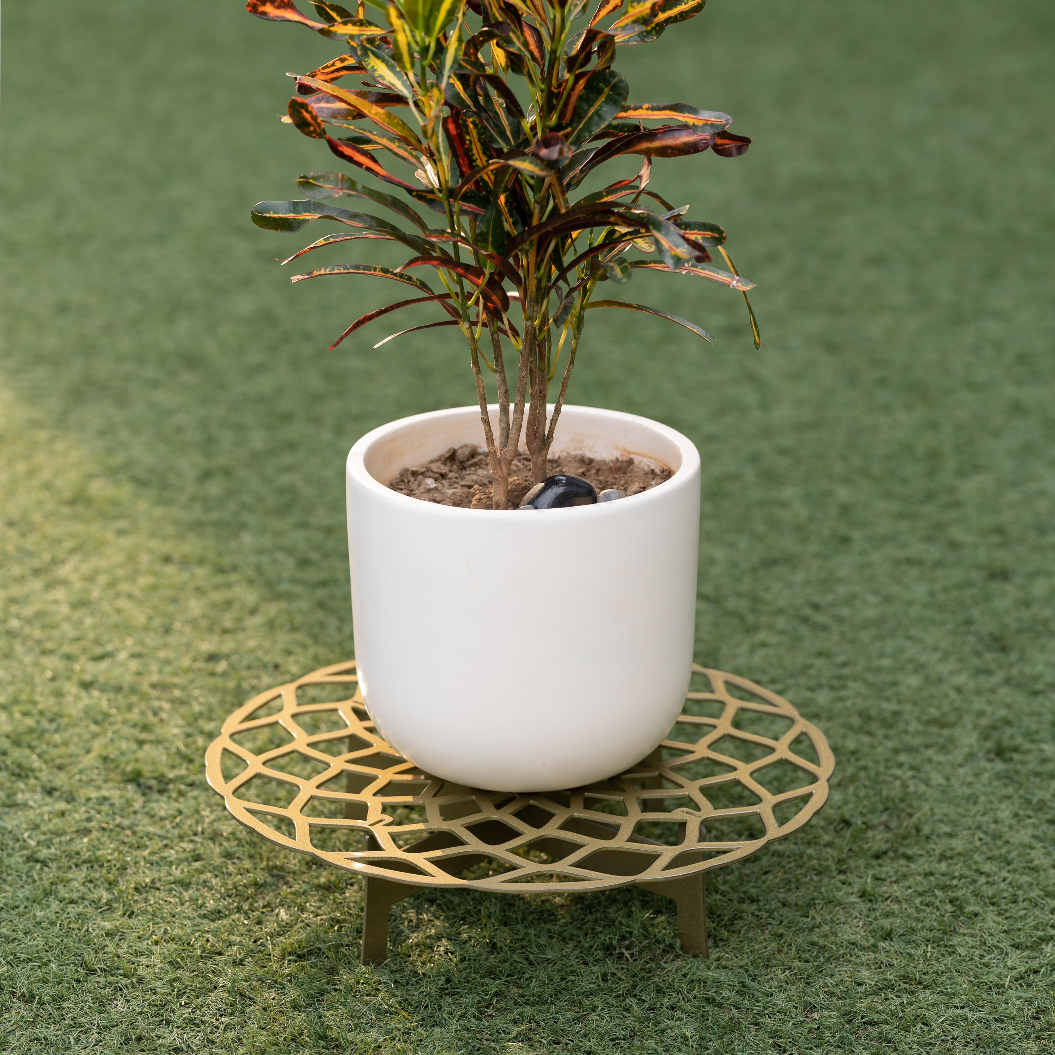 Amazon.in: Earthy Abode: Shop the Look