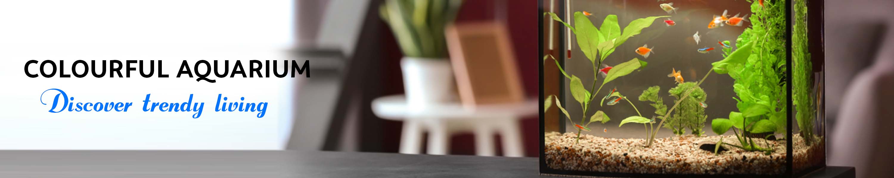 Amazon.in: COLOURFUL®: Pet Food