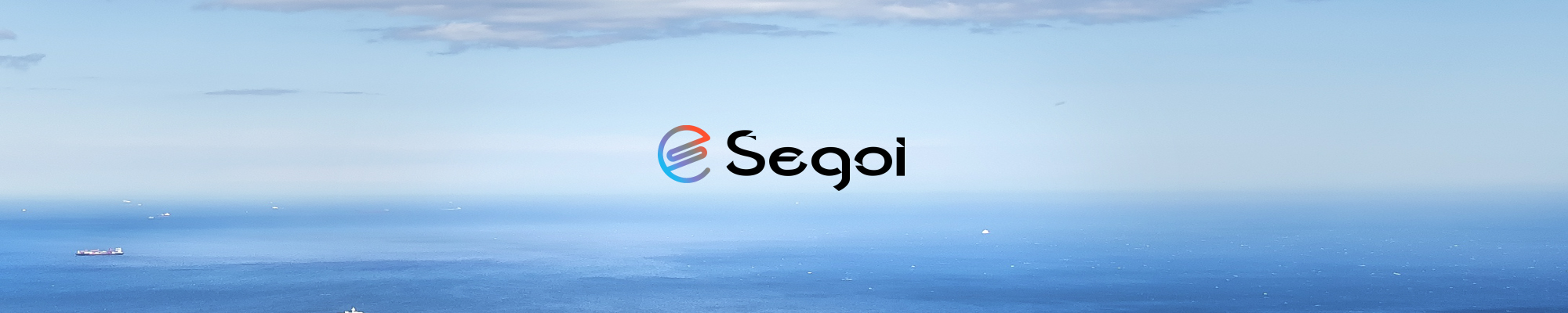 Amazon.co.jp: S Segoi JP: iPhone 13 シリーズ