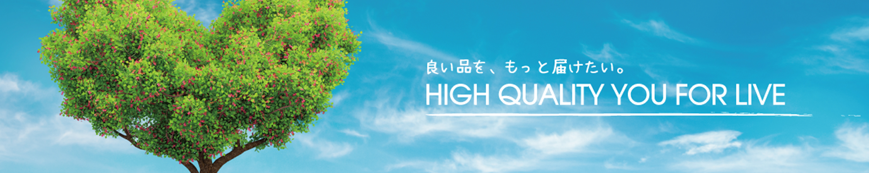Amazon.co.jp: NK-Quality