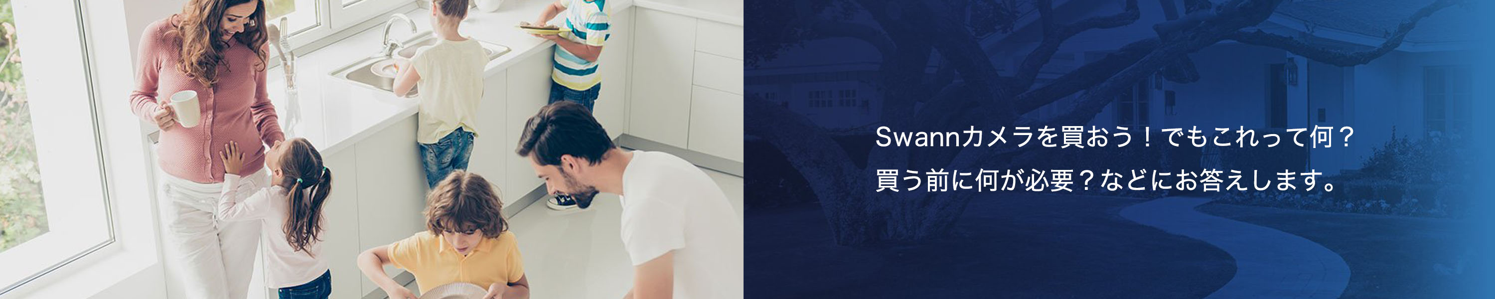 Amazon.co.jp: Swann: Swann ガイド